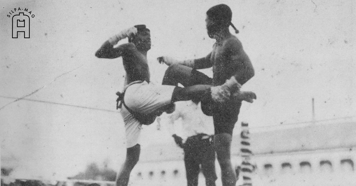 What is Teep Muay Thai - How to Execute It [Step-by-Step Guide]