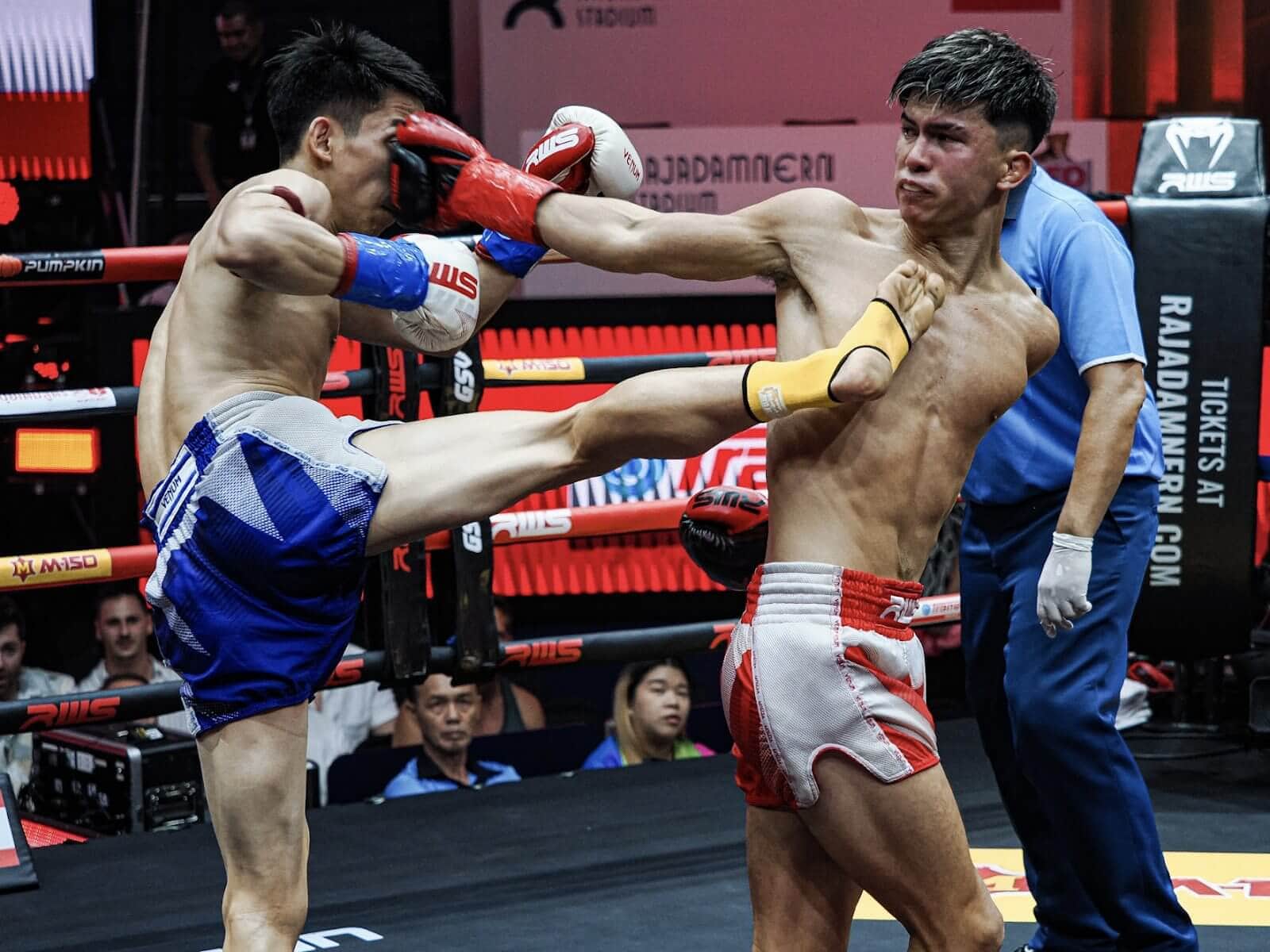 Ultimate List of Muay Thai Techniques for Beginners and Advanced