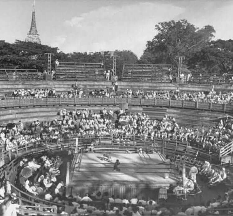 History & Heritage - About Our Legacy